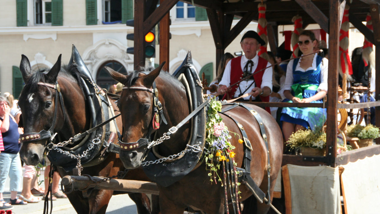 Hans Bosch – 60 Jahre mit Herz und Seele als Reiter und Fahrer beim ...