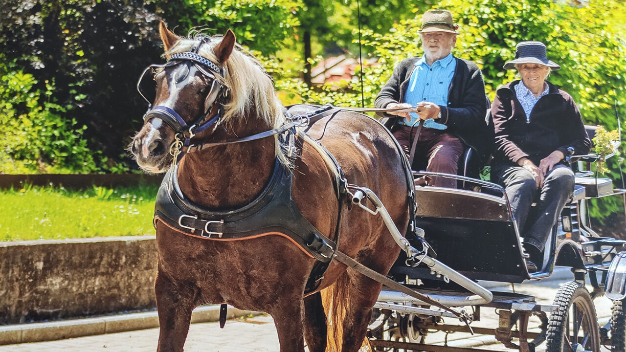 Karl Strohmaier: 70 Jahre Reiter und Gespannfahrer beim Schützenfest ...